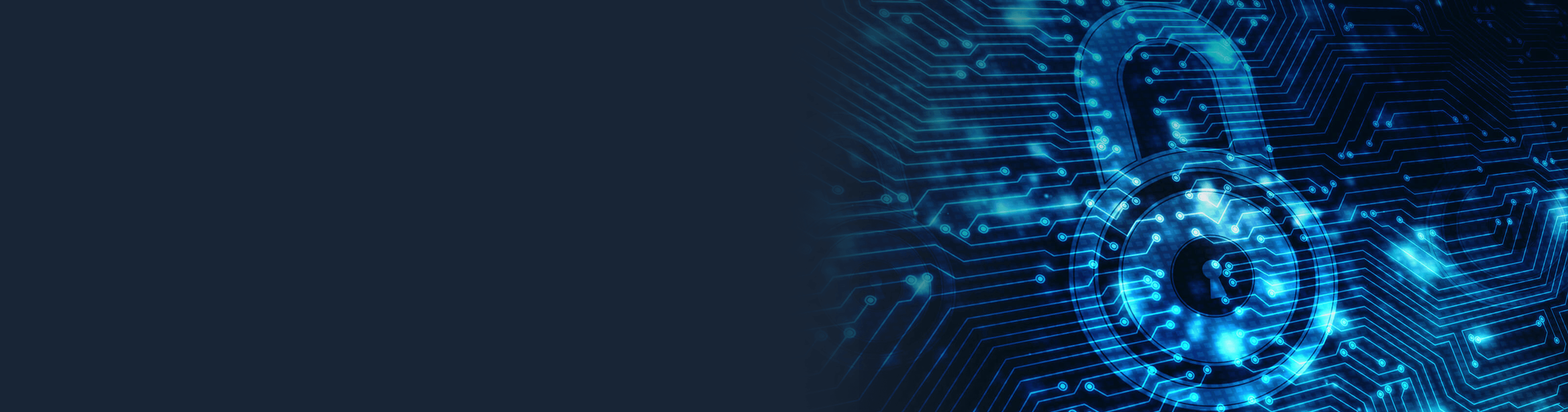 banner@2×3 – 安在软件